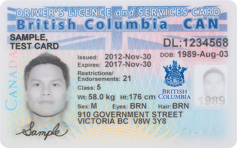 BC Drivers License Everything You Need To Know